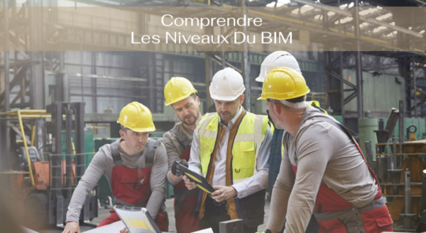 Comprendre les niveaux du BIM - F3DF